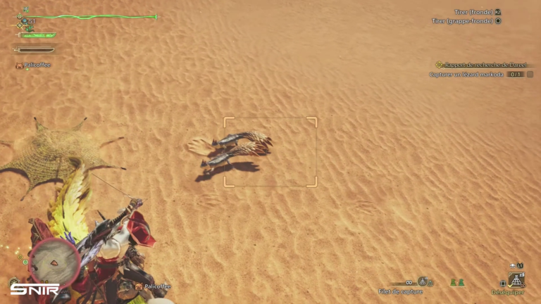 Monster Hunter Wilds : Guide Complet: Toutes les Solutions des Rapports ...
